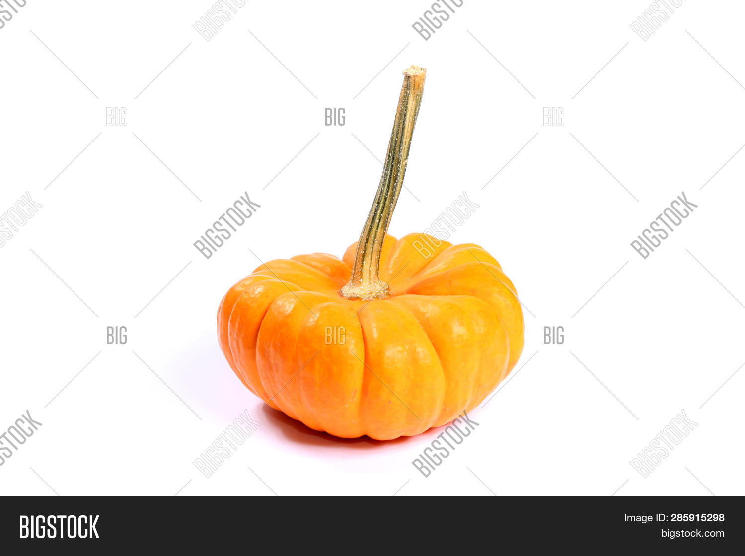 Coloquinte, Courge, Image & Photo (Free Trial) | Bigstock