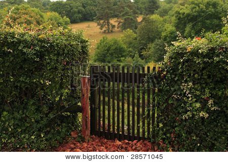 Gate Hedge, Burgundy, Image & Photo (Free Trial) | Bigstock
