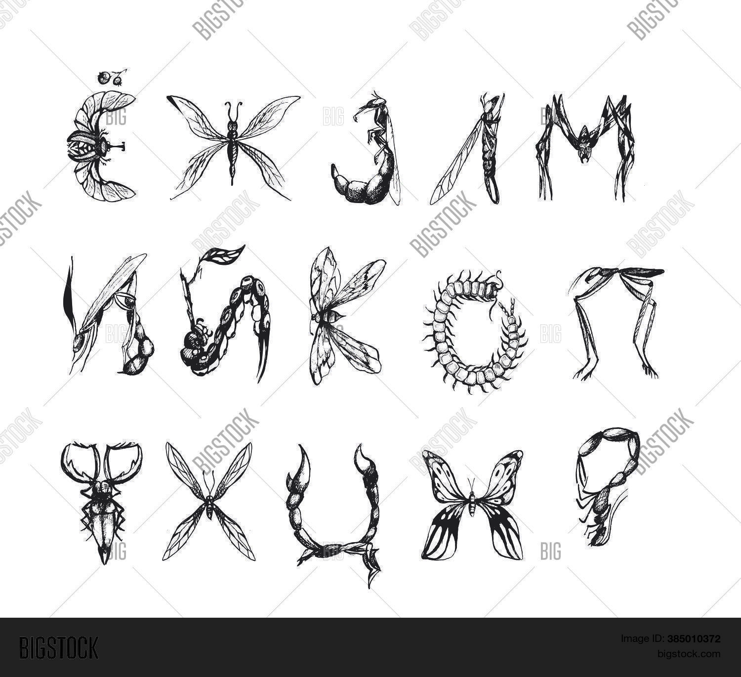 Font Insects Form Vector & Photo (Free Trial) | Bigstock