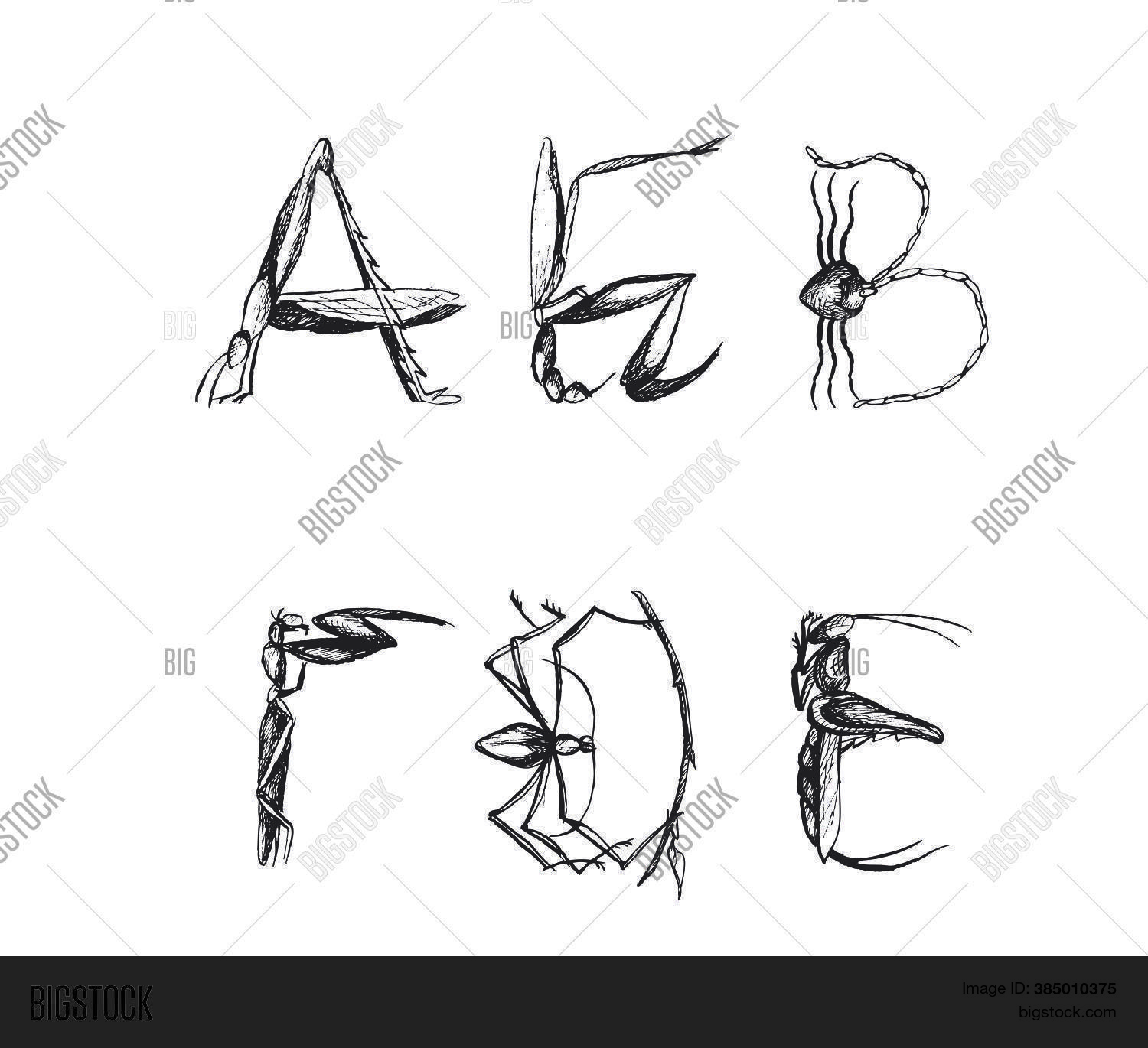 Font Insects Form Vector & Photo (Free Trial) | Bigstock