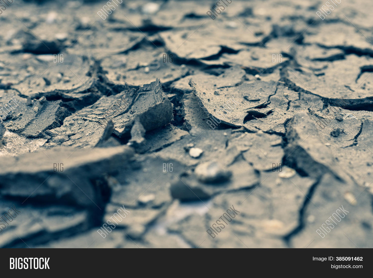 Parched Ground Close Image & Photo (Free Trial) | Bigstock