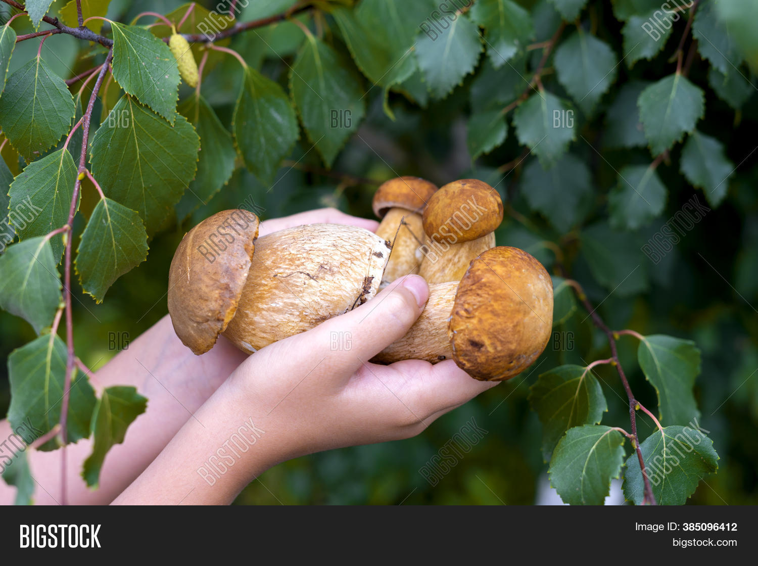 Side View On Various Image & Photo (Free Trial) | Bigstock