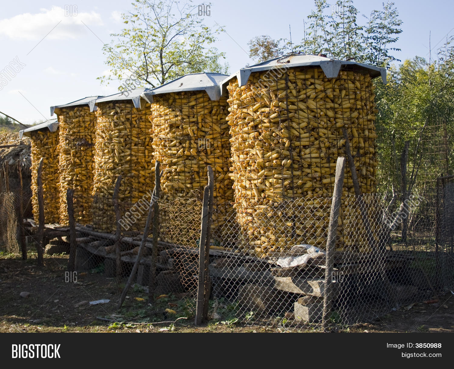Corn Cribs Image & Photo (Free Trial) | Bigstock