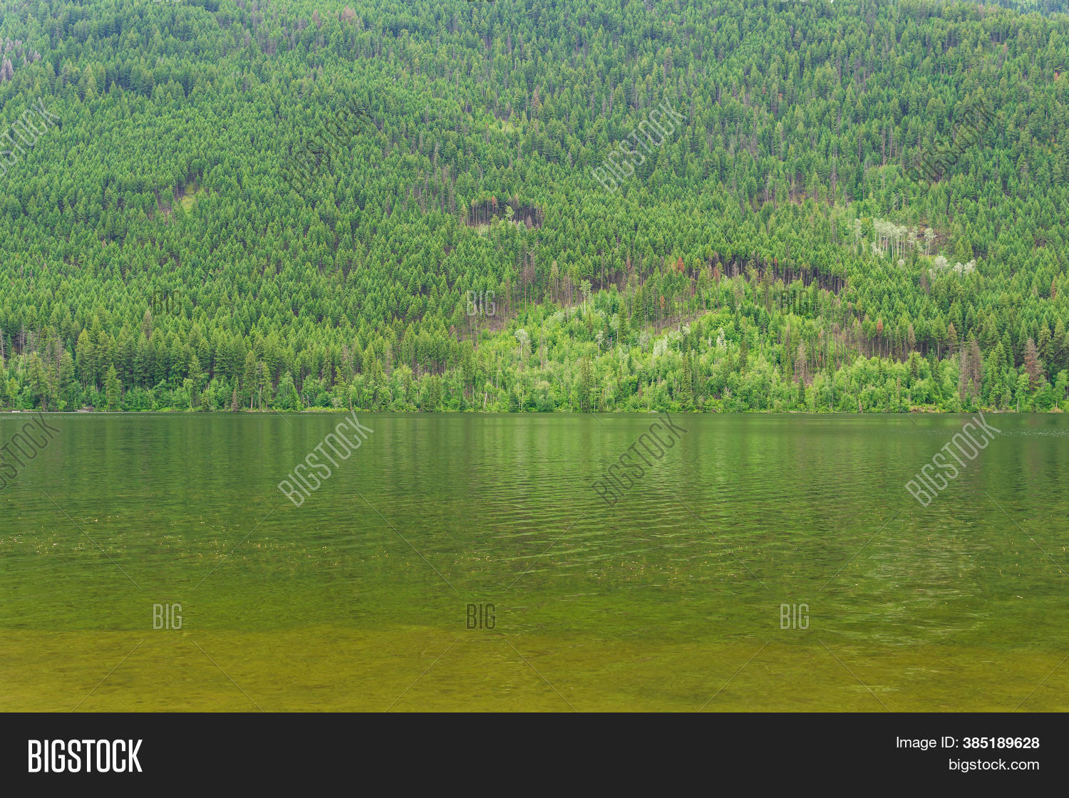 Calm Paul Lake Water Image & Photo (Free Trial) | Bigstock