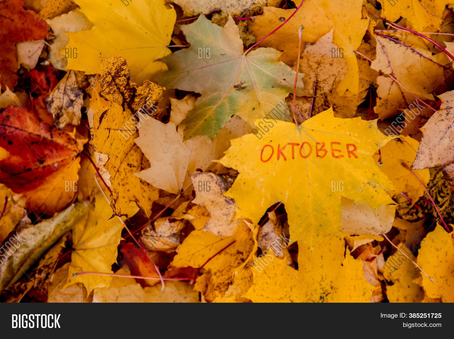 Word October Written Image & Photo (Free Trial) | Bigstock