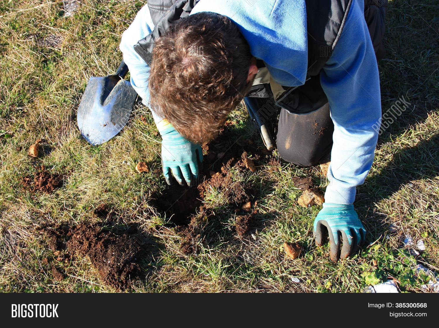 Looking Treasures Image & Photo (Free Trial) | Bigstock