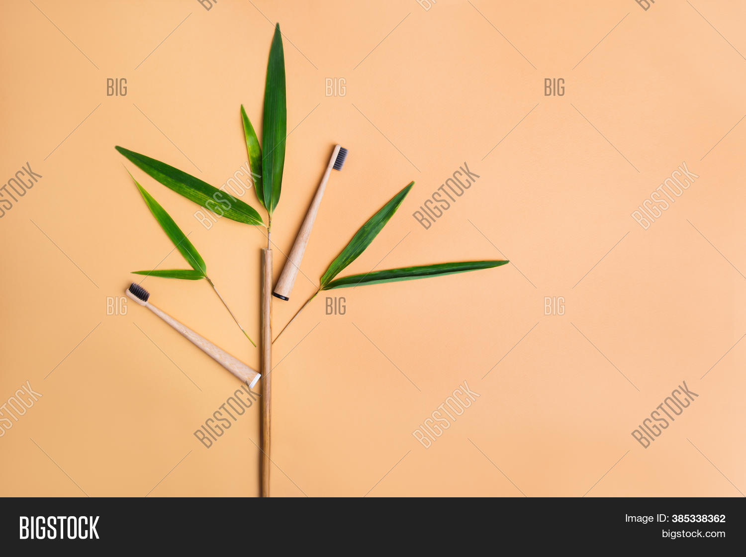 Top View Fresh Bamboo Image & Photo (Free Trial) | Bigstock