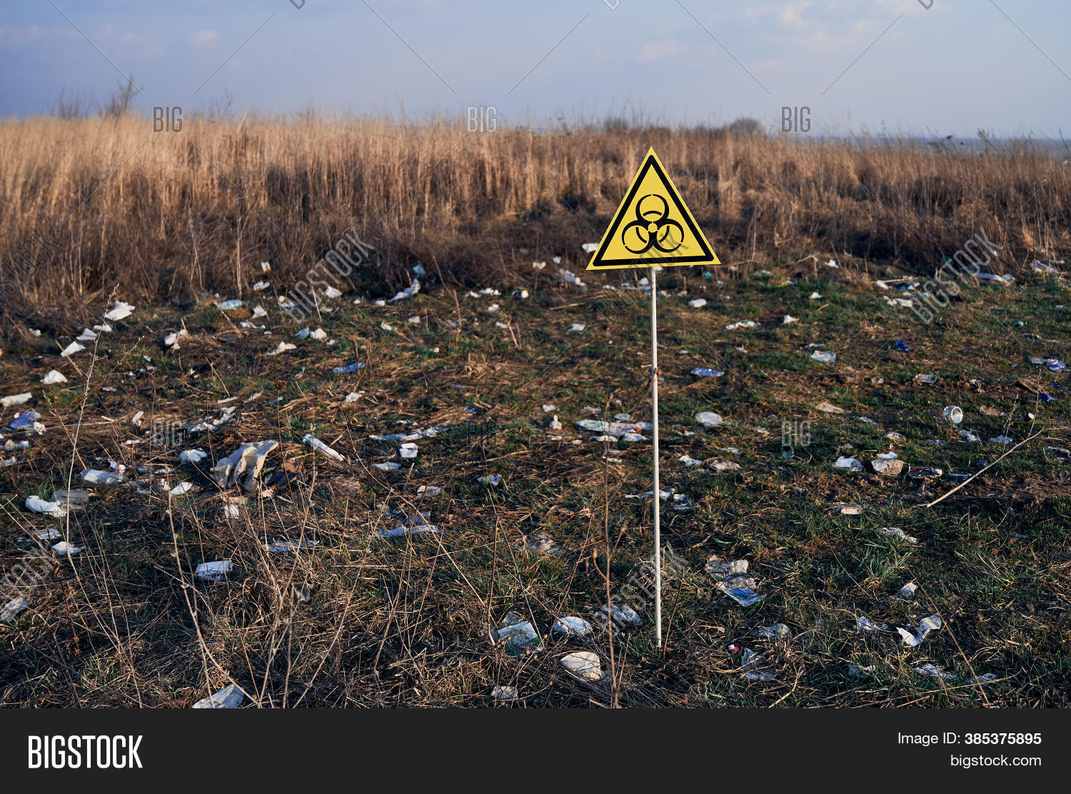 ภาพและภาพถ่าย (ทดลองใช้ฟรี) | Bigstock