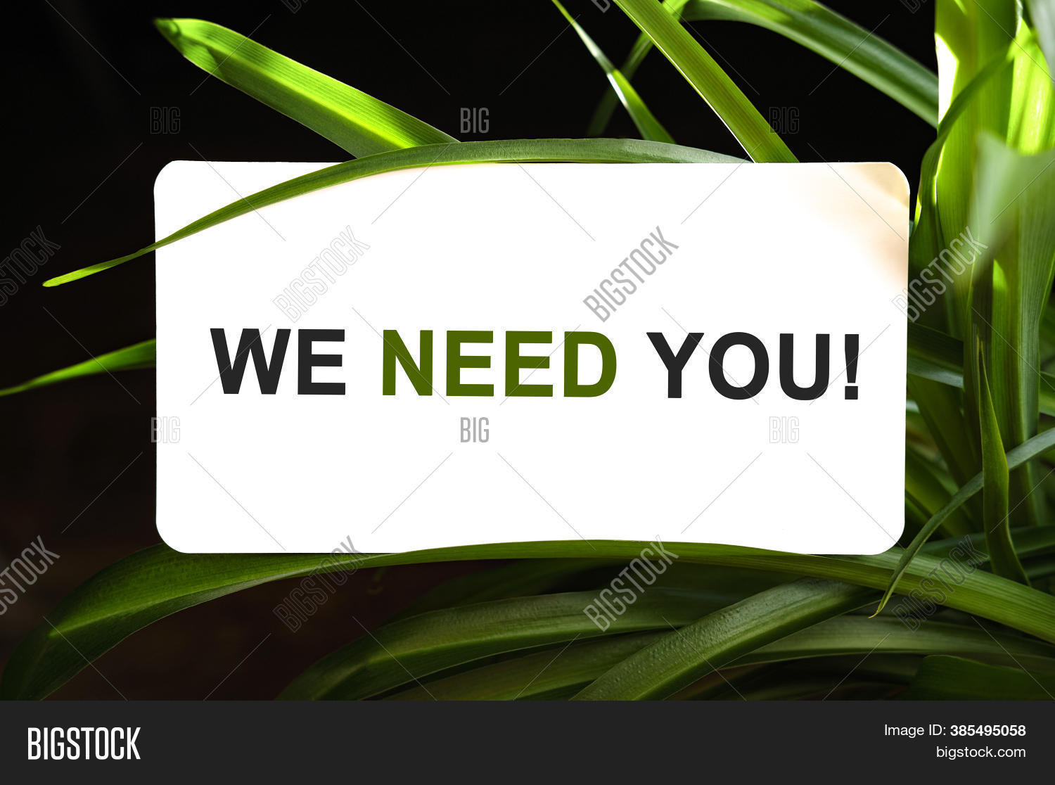 We Need You Text On Image & Photo (Free Trial) | Bigstock