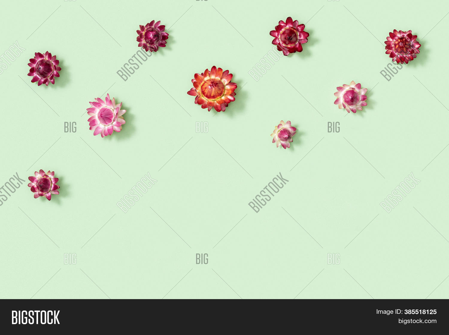 Delicate Dry Flowers, Image & Photo (Free Trial) | Bigstock