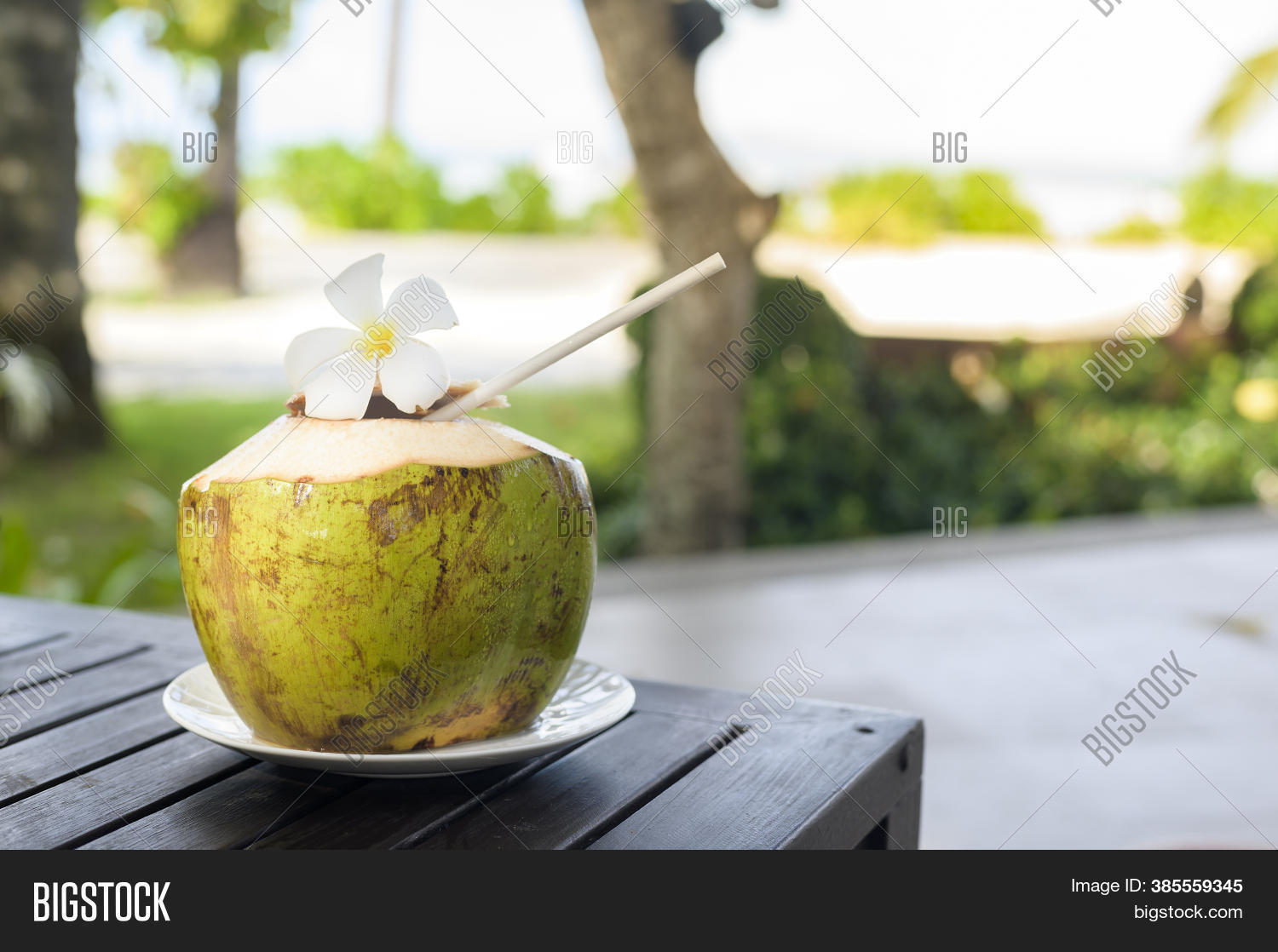 Coconut On Wooden Image & Photo (Free Trial) | Bigstock