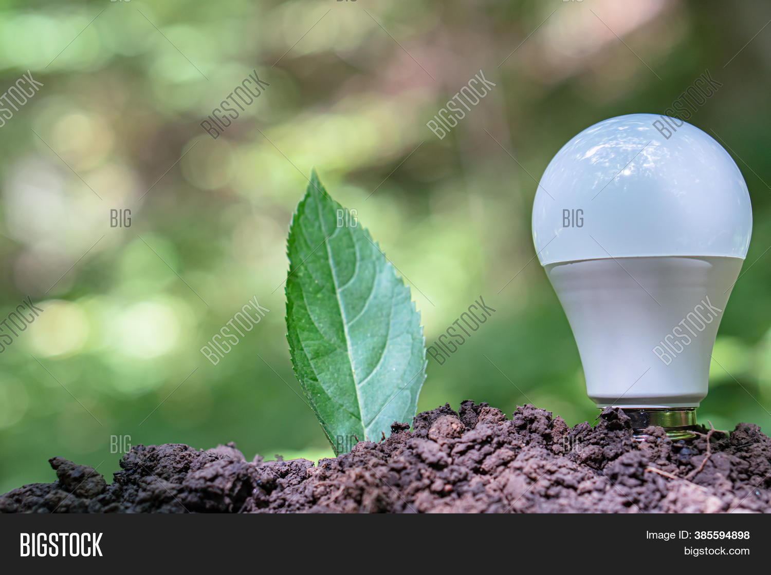 Light Bulb Leaf Tree Image & Photo (Free Trial) | Bigstock