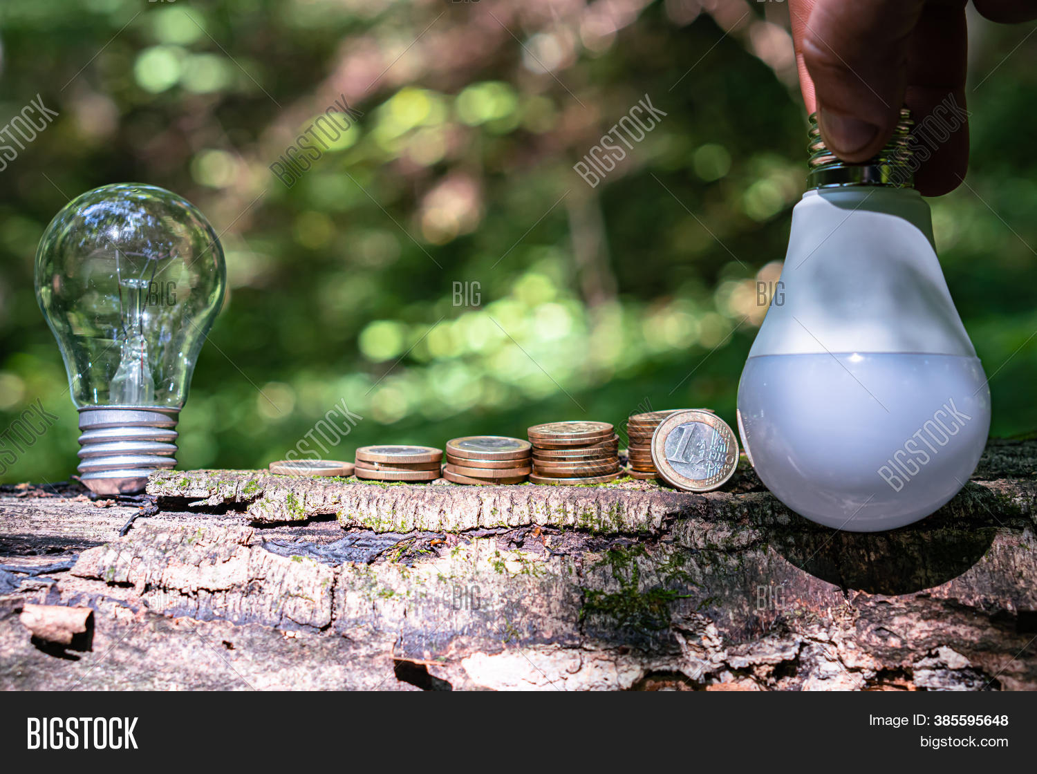 Coins Stacked On Bark Image & Photo (Free Trial) | Bigstock