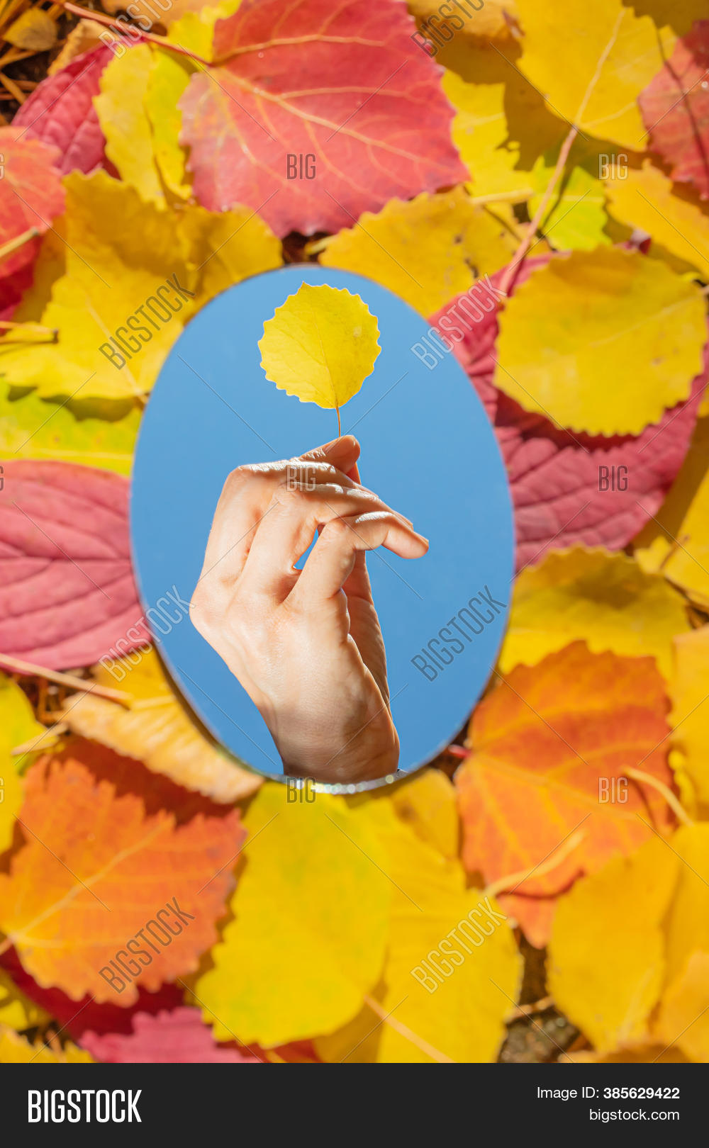 Mirror Lies On Autumn Image & Photo (Free Trial) | Bigstock