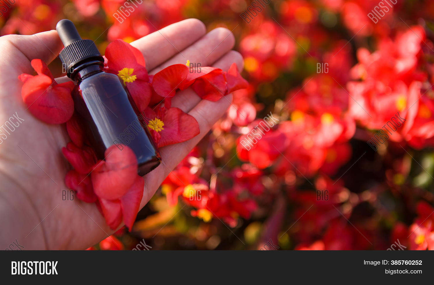 Flower Extract Dropper Image & Photo (Free Trial) | Bigstock