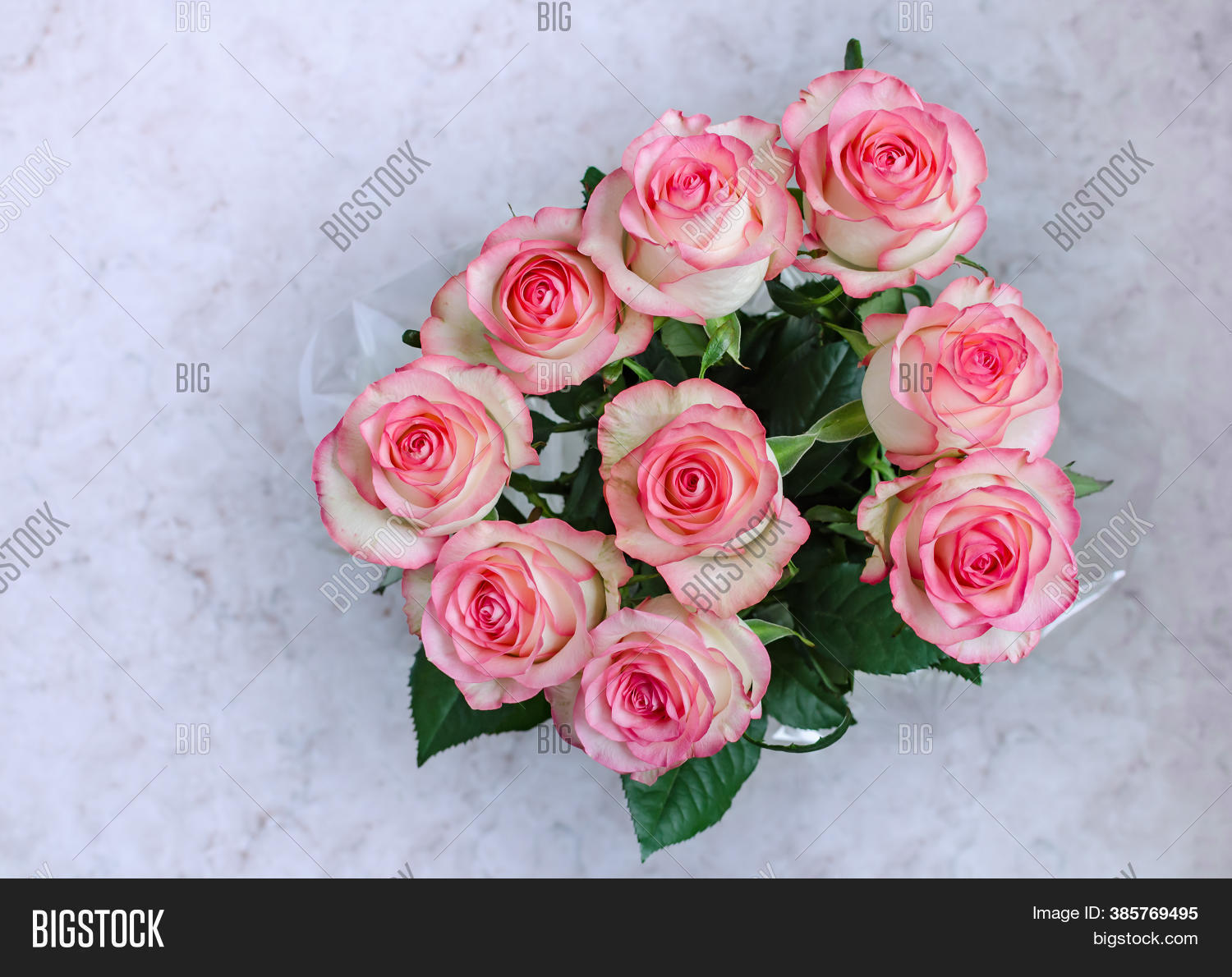 Beautiful Pink Roses, Image & Photo (Free Trial) | Bigstock