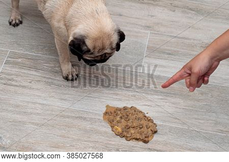 Vomiting Images, Illustrations & Vectors (Free) - Bigstock