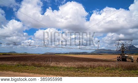 Large Scale Sugar Cane Image & Photo (Free Trial) | Bigstock