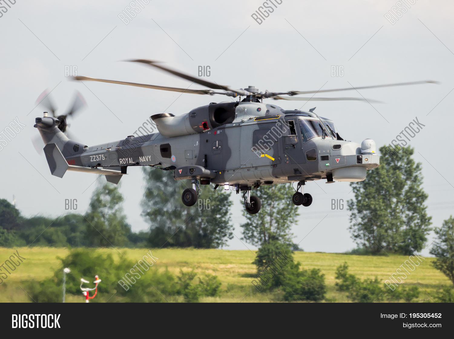Navy Wildcat Image & Photo (Free Trial) | Bigstock