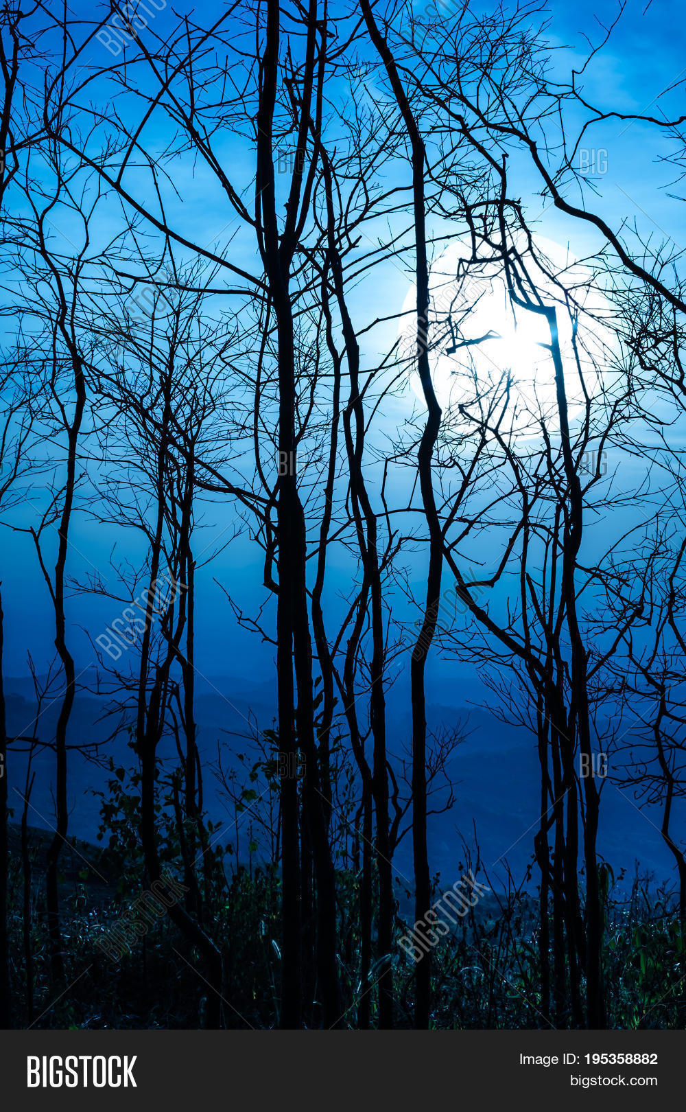 Night Landscape Sky Image & Photo (Free Trial) | Bigstock