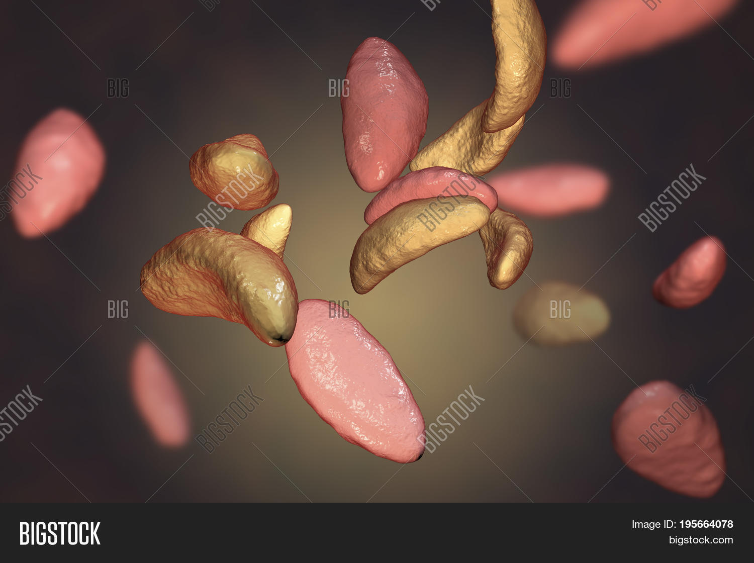 Parasitic Protozoans Image & Photo (Free Trial) | Bigstock