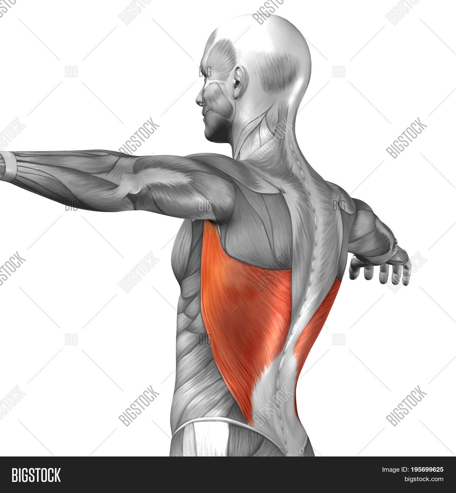 Concept Conceptual 3D Image & Photo (Free Trial) | Bigstock