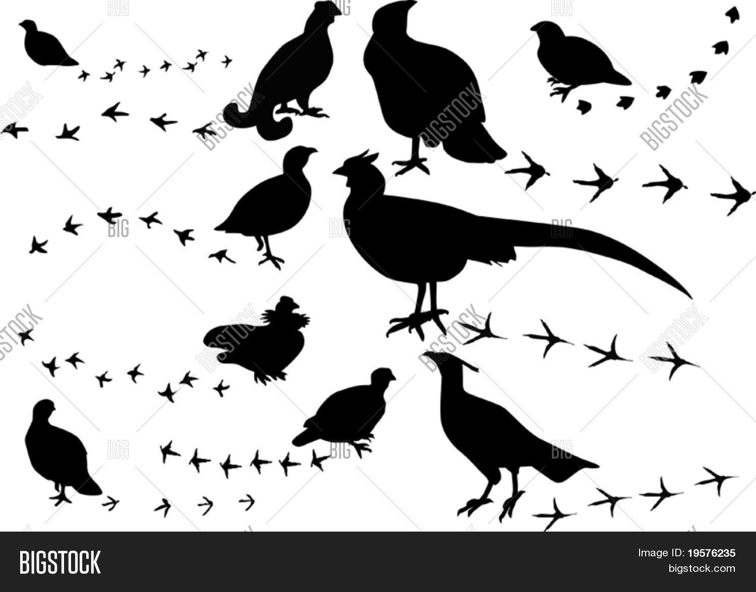 Illustration Vector & Photo (Free Trial) | Bigstock
