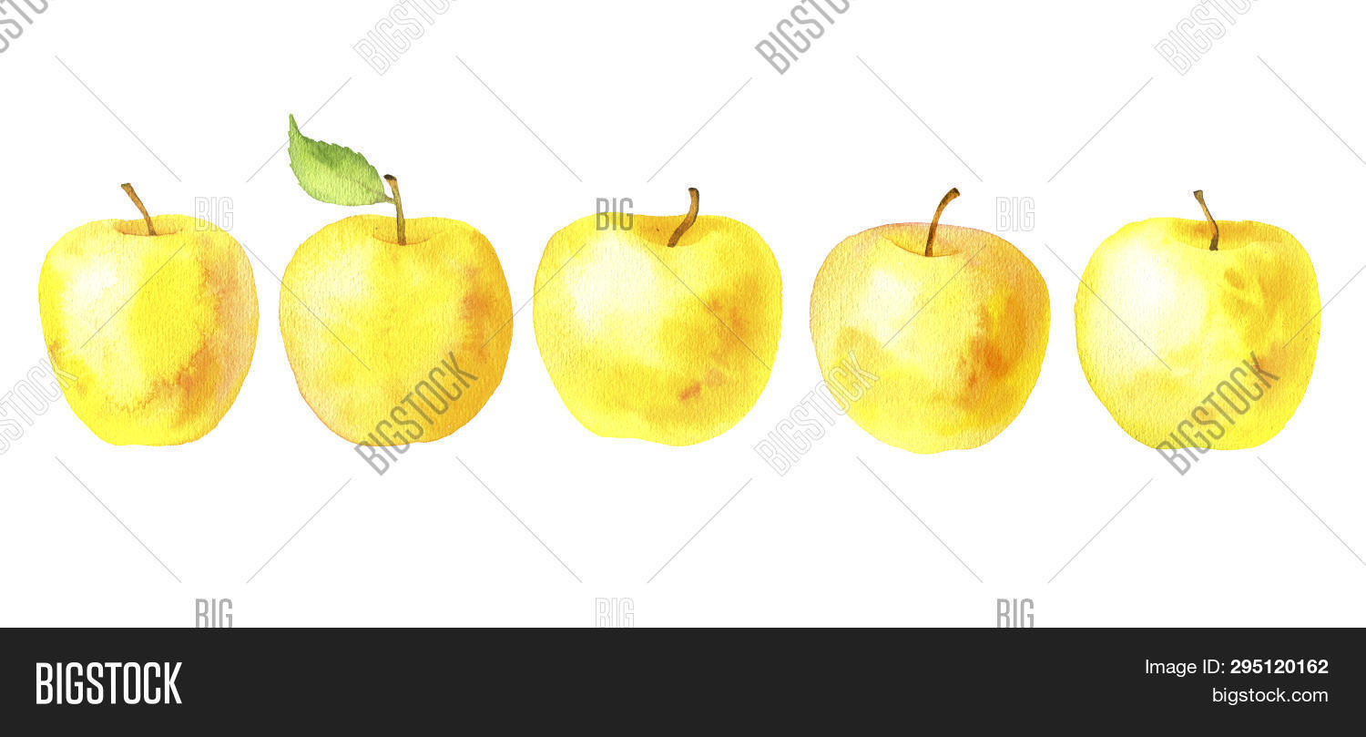 Watercolor Drawing Image & Photo (Free Trial) | Bigstock