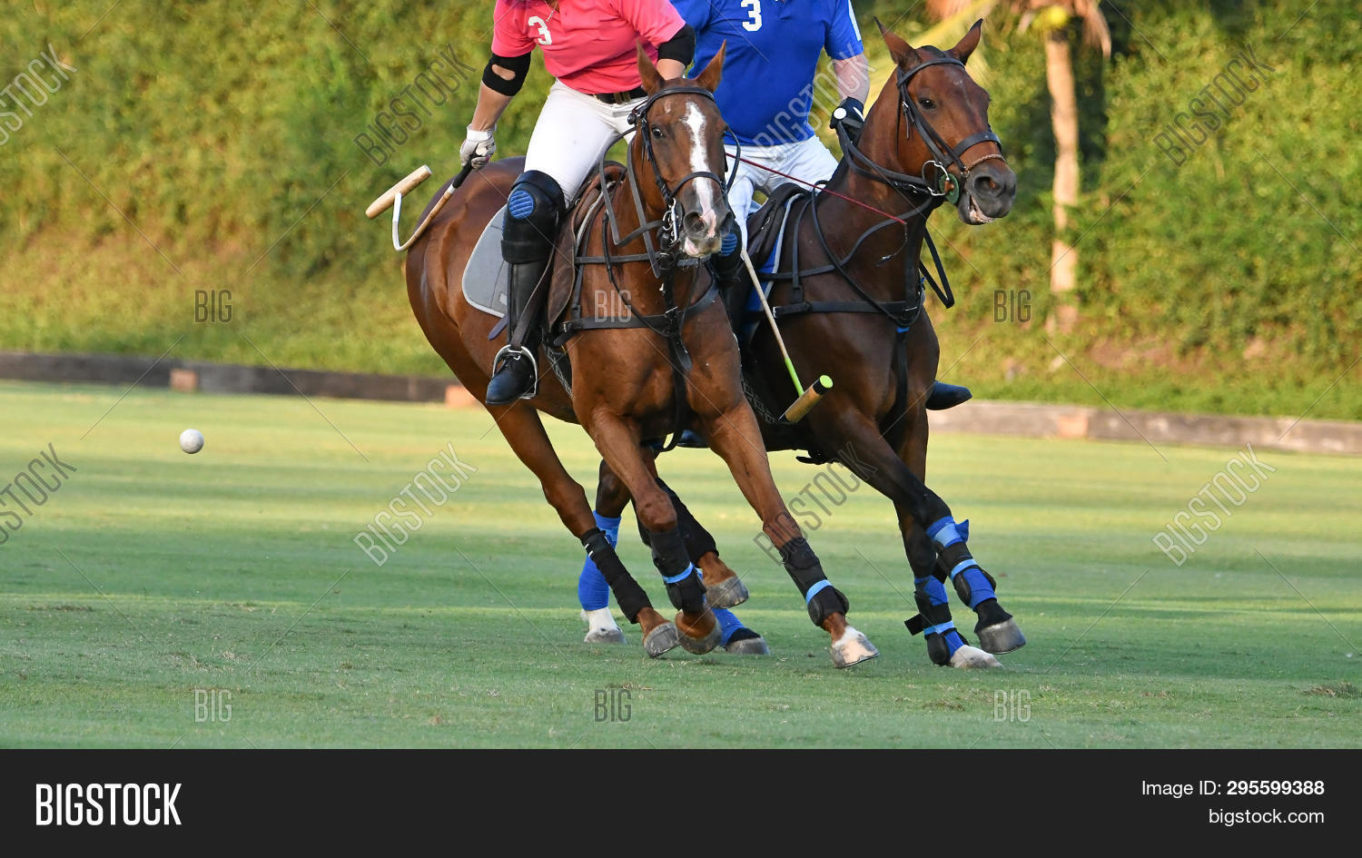Horse Polo Player Image & Photo (Free Trial) | Bigstock