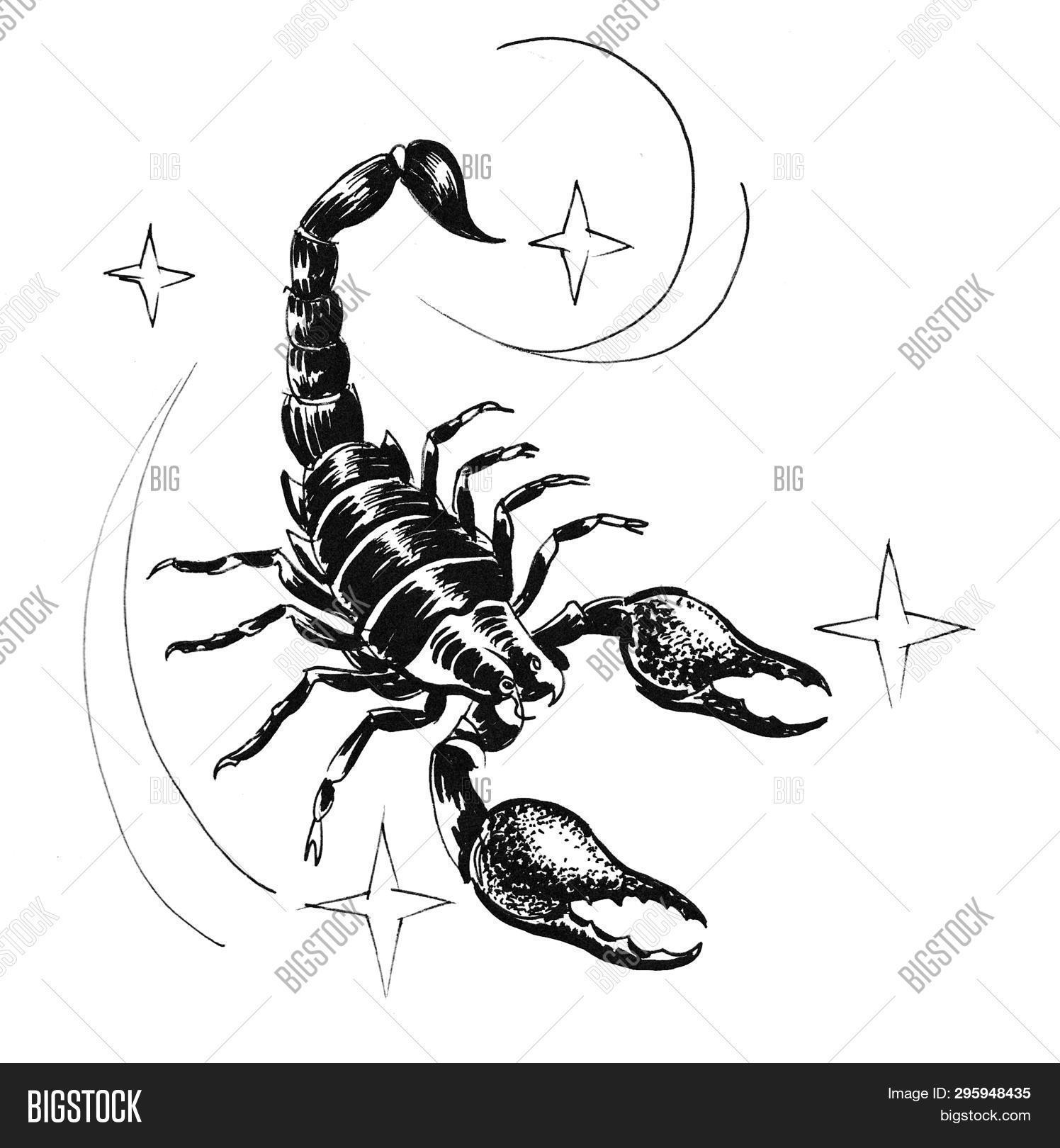Scorpion Stars. Ink Image & Photo (Free Trial) | Bigstock