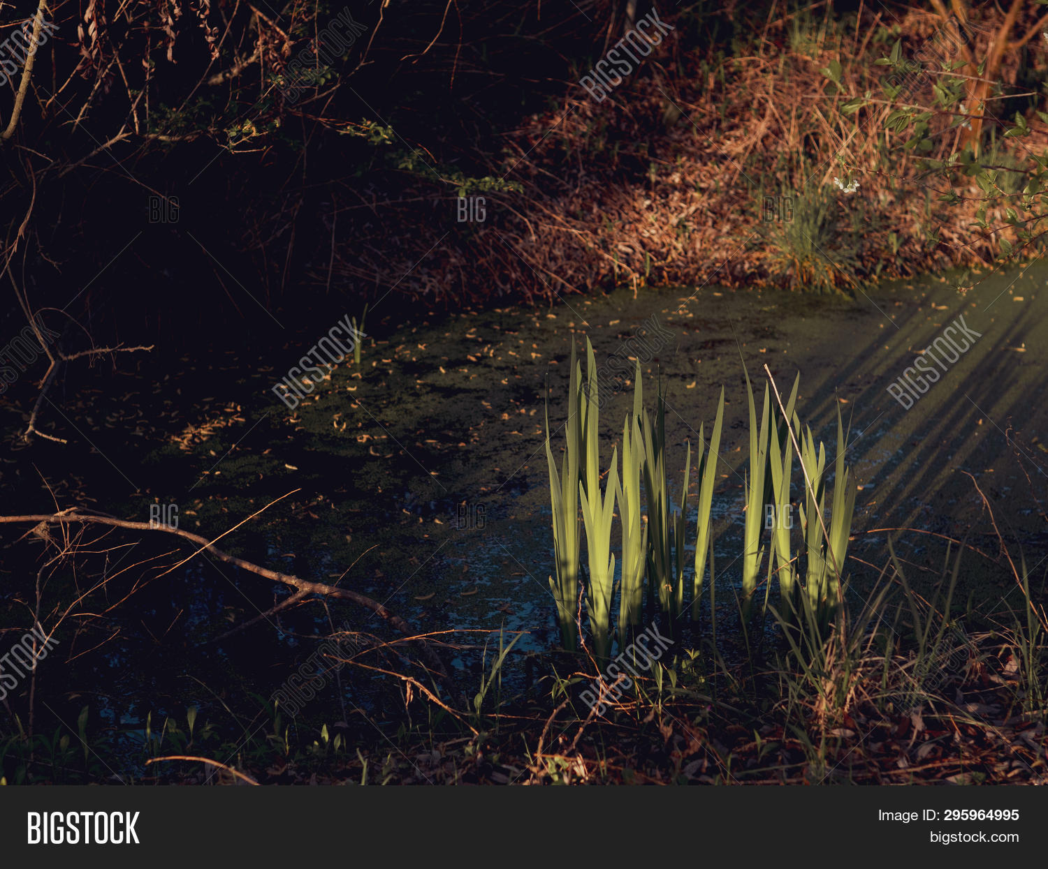 Moody Scenery Small Image & Photo (Free Trial) | Bigstock