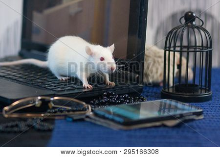 Hacker Attack. Mouse Image & Photo (Free Trial) | Bigstock