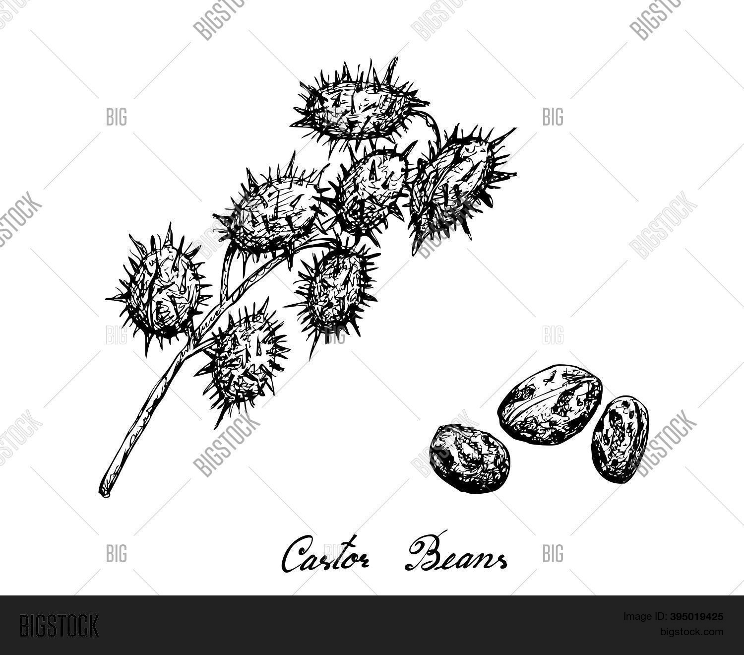 Illustration Hand Vector & Photo (Free Trial) | Bigstock