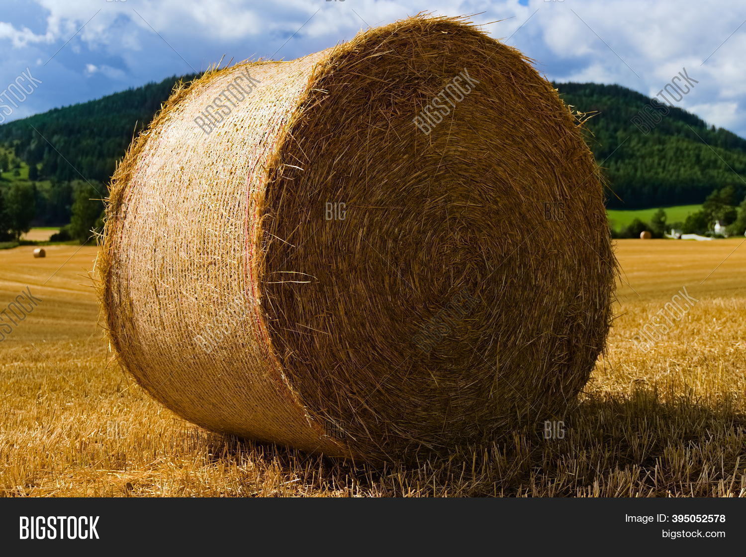 Round Hay Bale On Image & Photo (Free Trial) | Bigstock