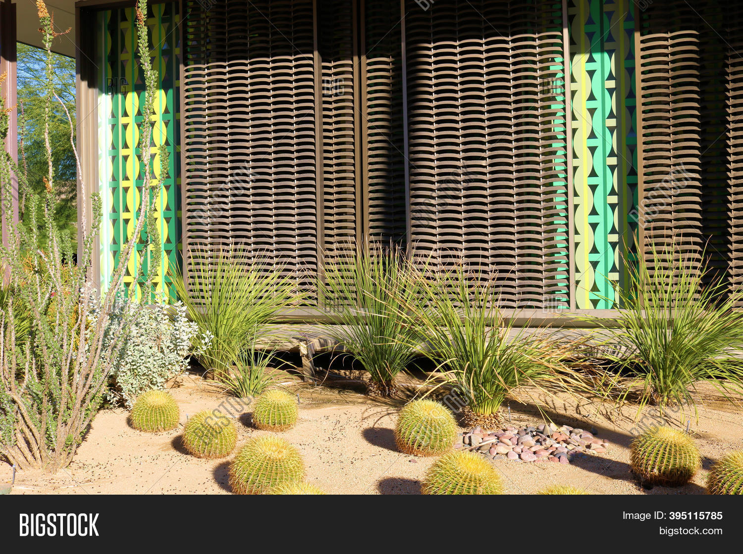 Sand Surrounding Cacti Image & Photo (Free Trial) | Bigstock