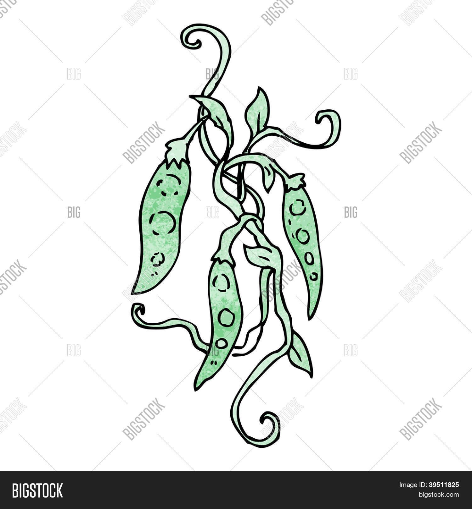 Cartoon Runner Beans Vector & Photo (Free Trial) | Bigstock