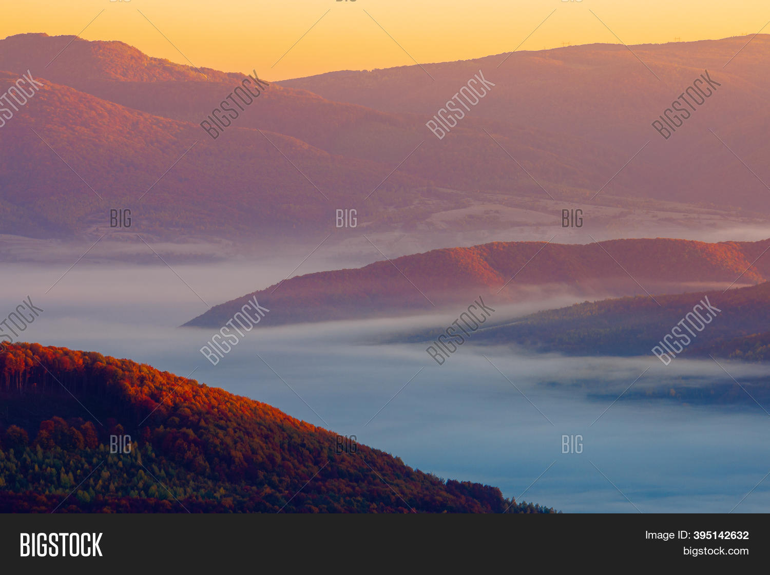 Cold Morning Fog Image & Photo (Free Trial) | Bigstock