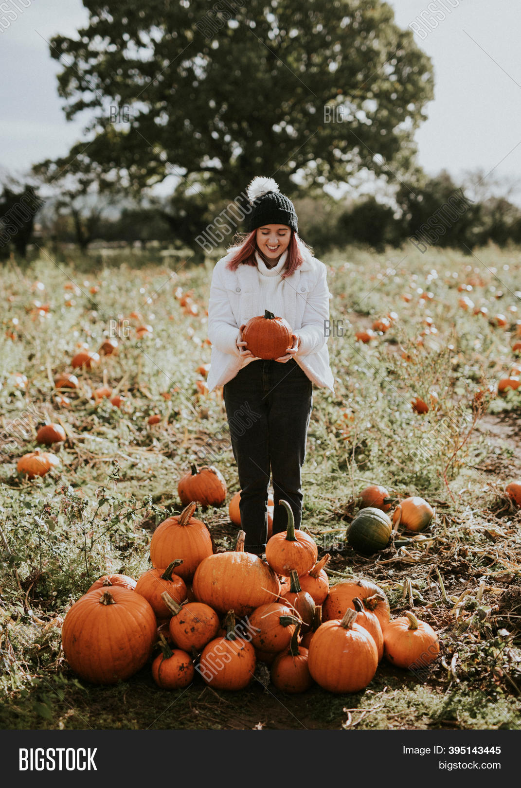 Woman Pumpkin Patch Image & Photo (Free Trial) | Bigstock