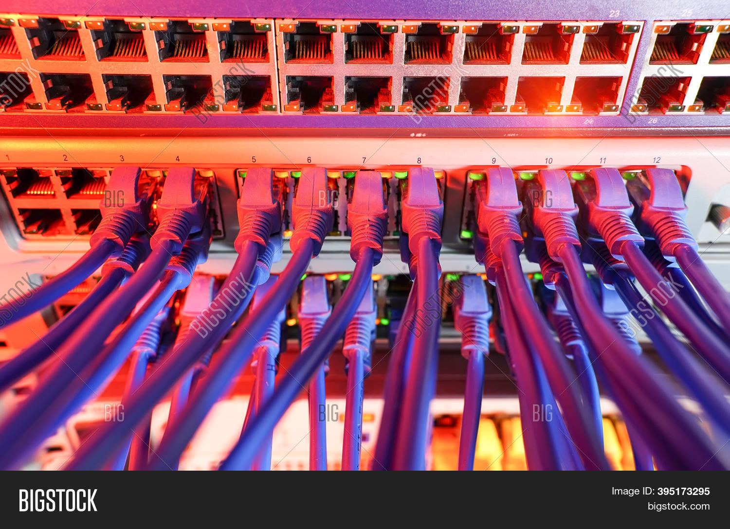 Server Rack Blue Red Image & Photo (Free Trial) | Bigstock