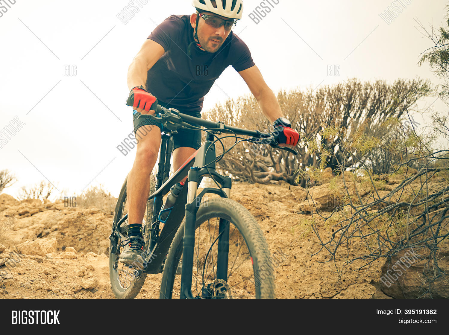 Cyclist Violet Riding Image & Photo (Free Trial) | Bigstock