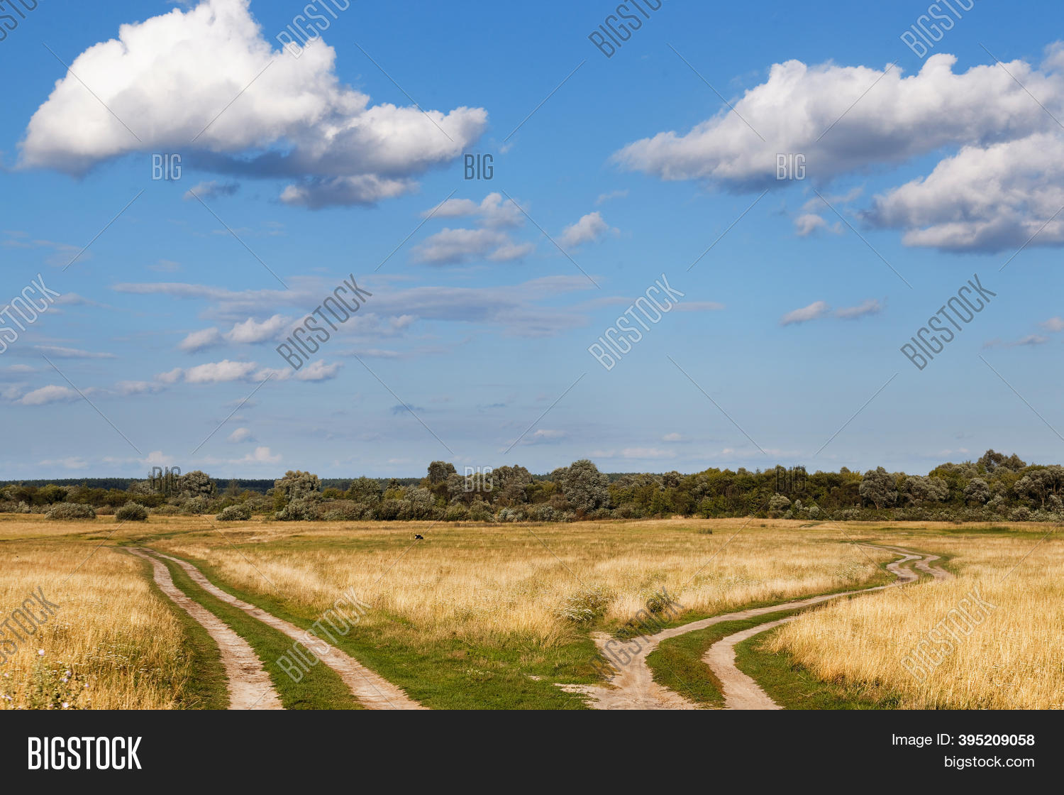 Two Country Road Image & Photo (Free Trial) | Bigstock
