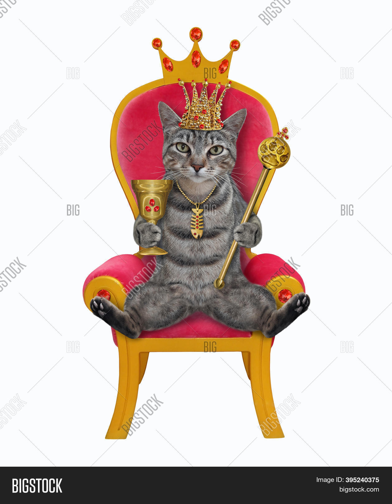 Gray Cat King Gold Image & Photo (Free Trial) | Bigstock