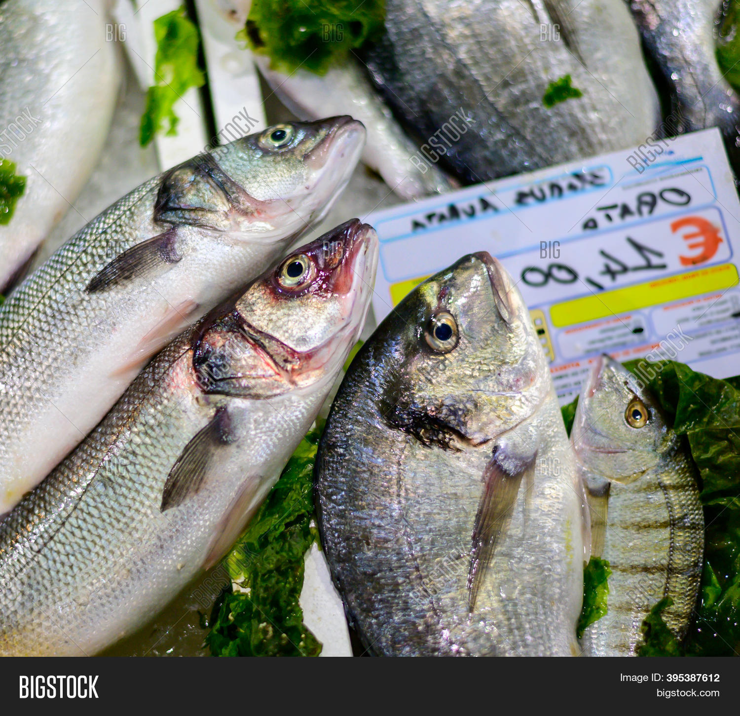 Catch Day, Fresh Fish Image & Photo (Free Trial) | Bigstock