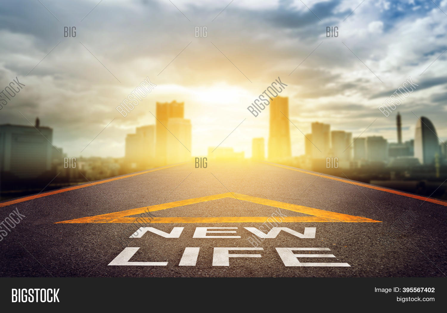 New Life Road Signage Image & Photo (Free Trial) | Bigstock
