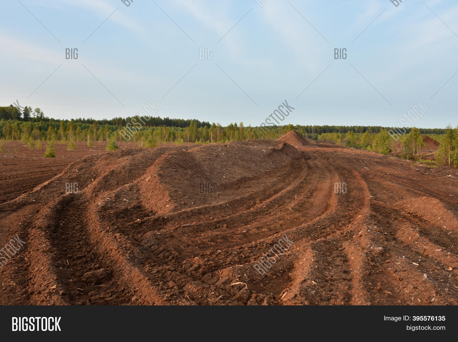 Landscape On Peatlands Image & Photo (Free Trial) | Bigstock