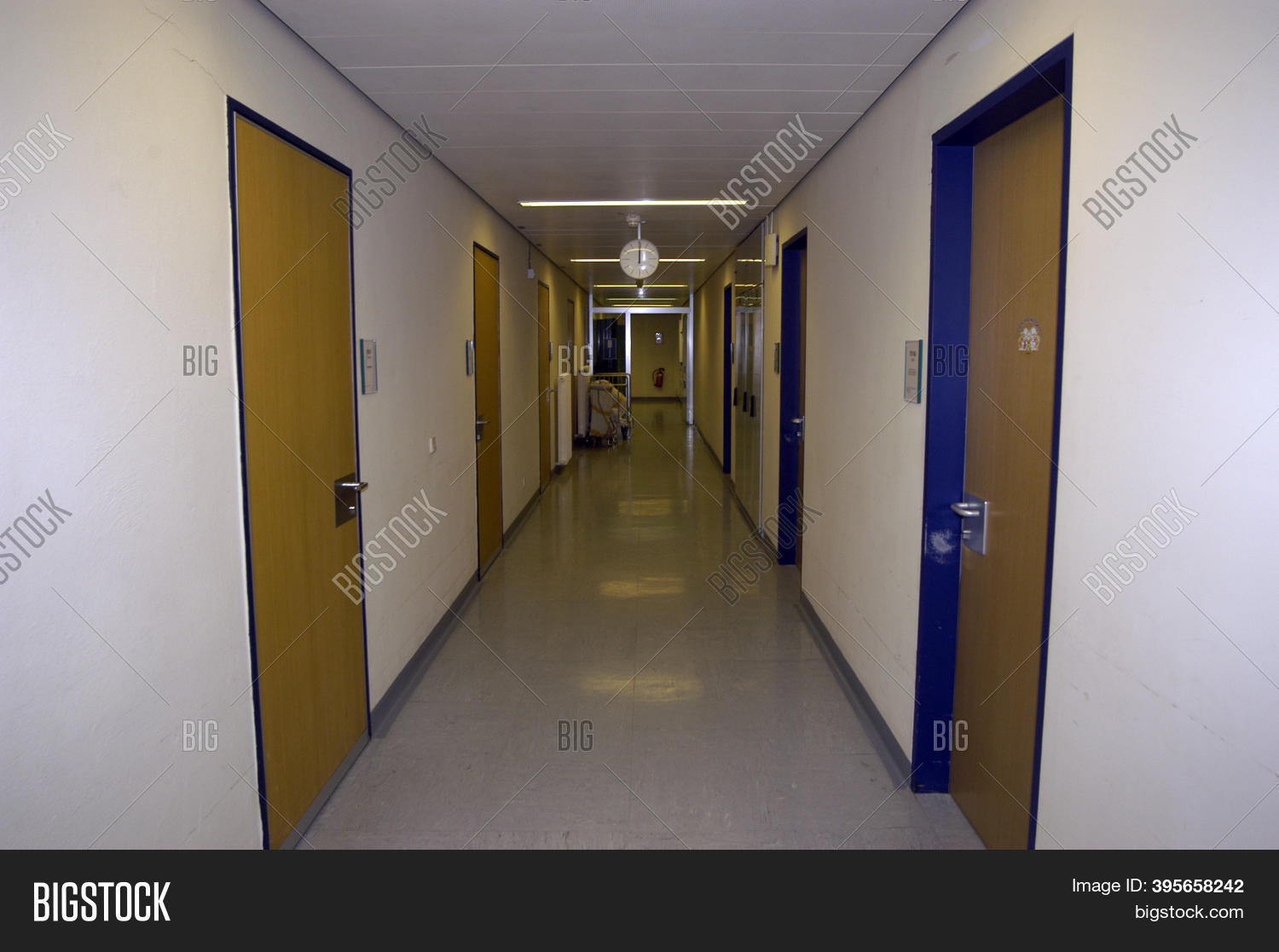 Administrative Image & Photo (Free Trial) | Bigstock