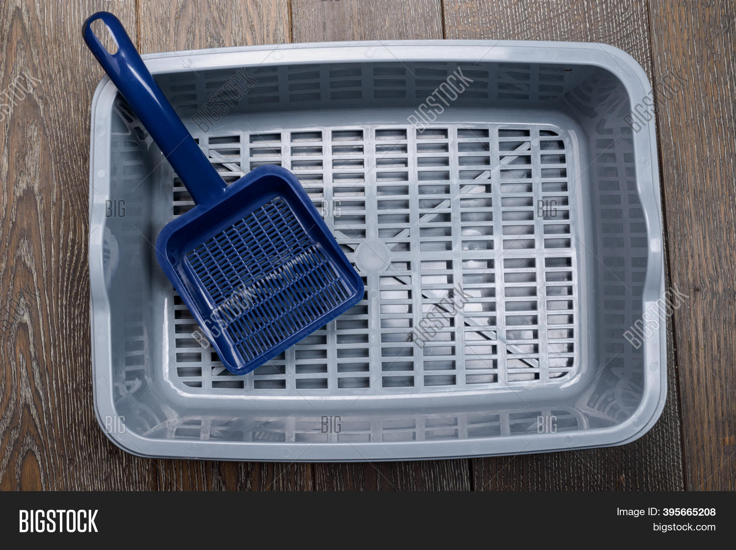 Blue Plastic Litter Image & Photo (Free Trial) | Bigstock