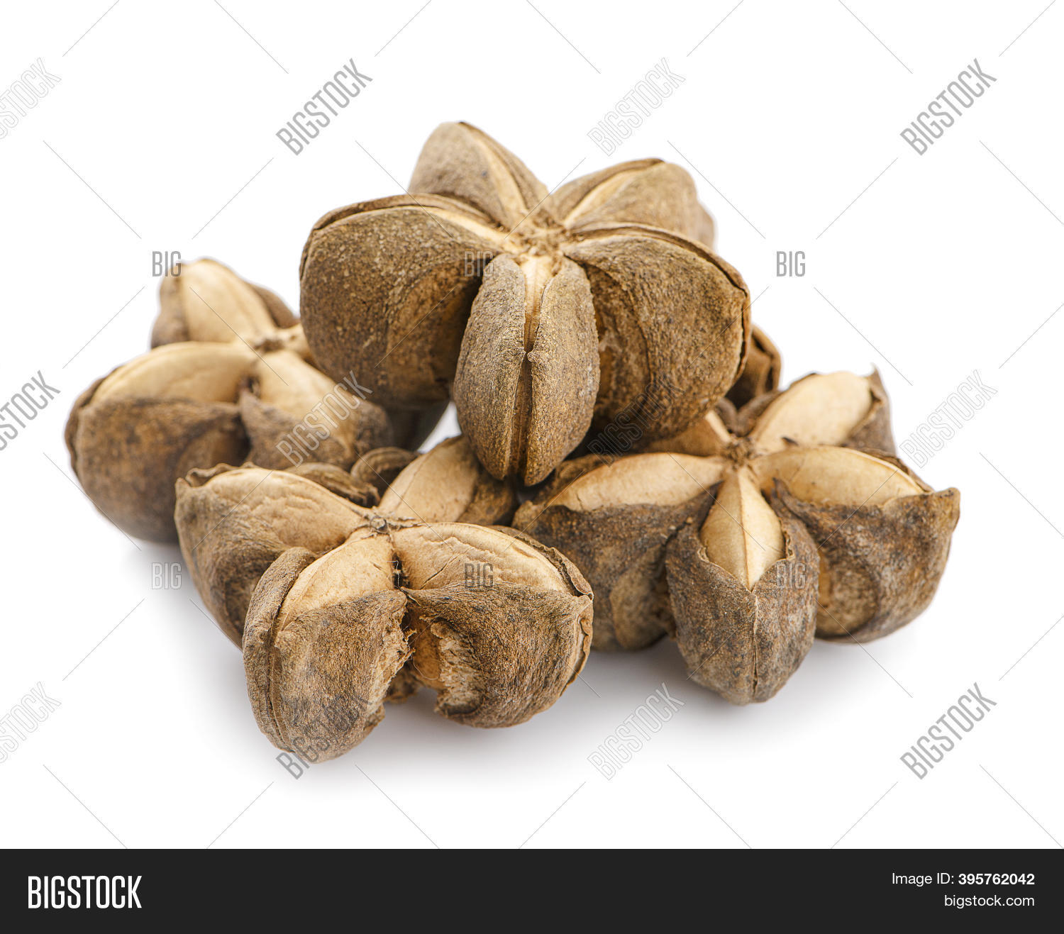 Sacha Inchi Peanut Image & Photo (Free Trial) | Bigstock