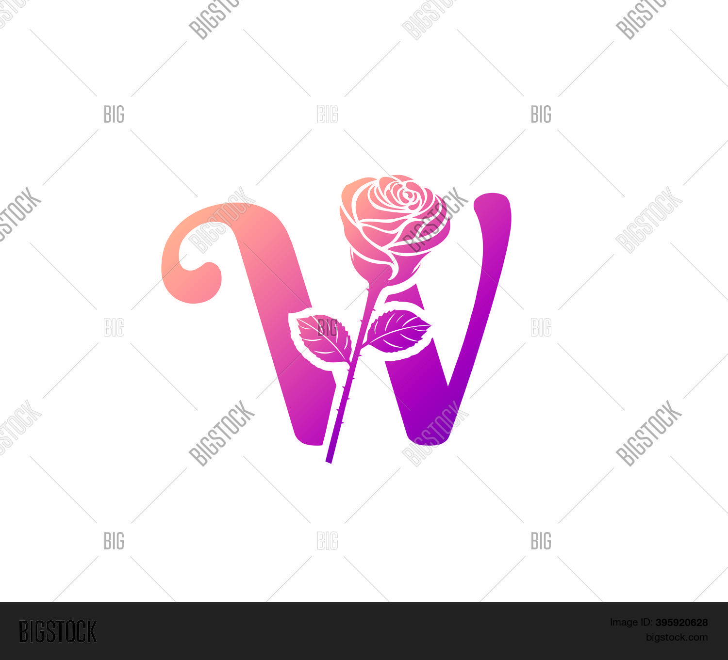 Beauty Rose W Letter Vector & Photo (Free Trial) | Bigstock
