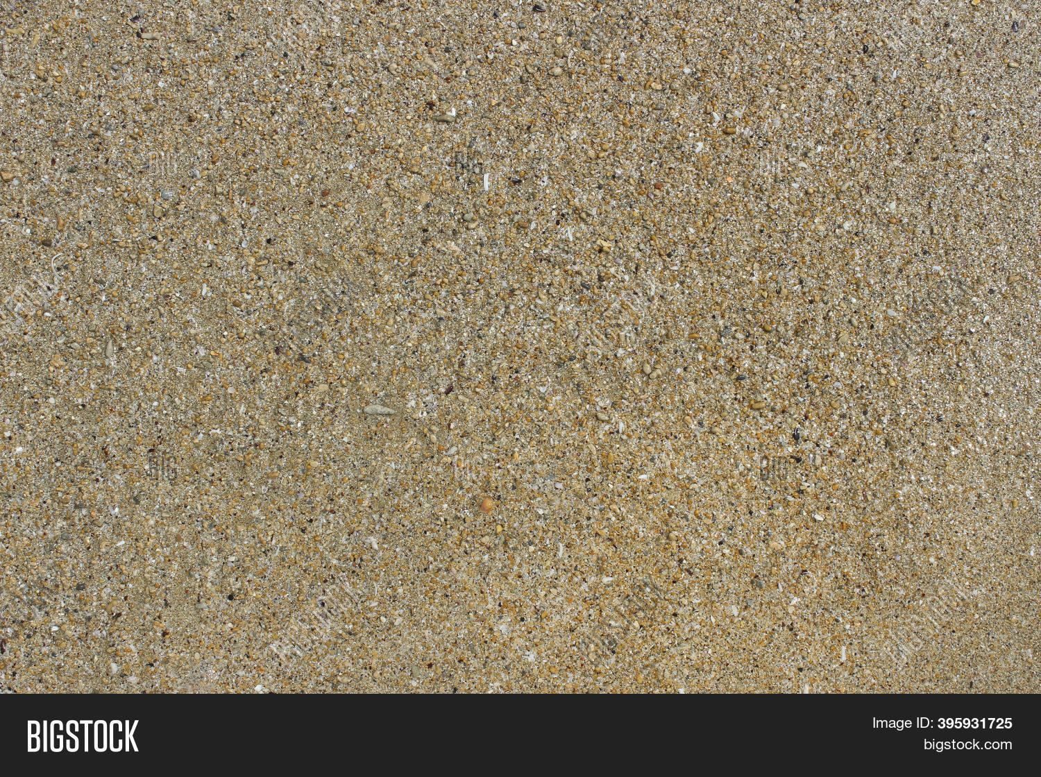 Wet Sand On Shore Image & Photo (Free Trial) | Bigstock